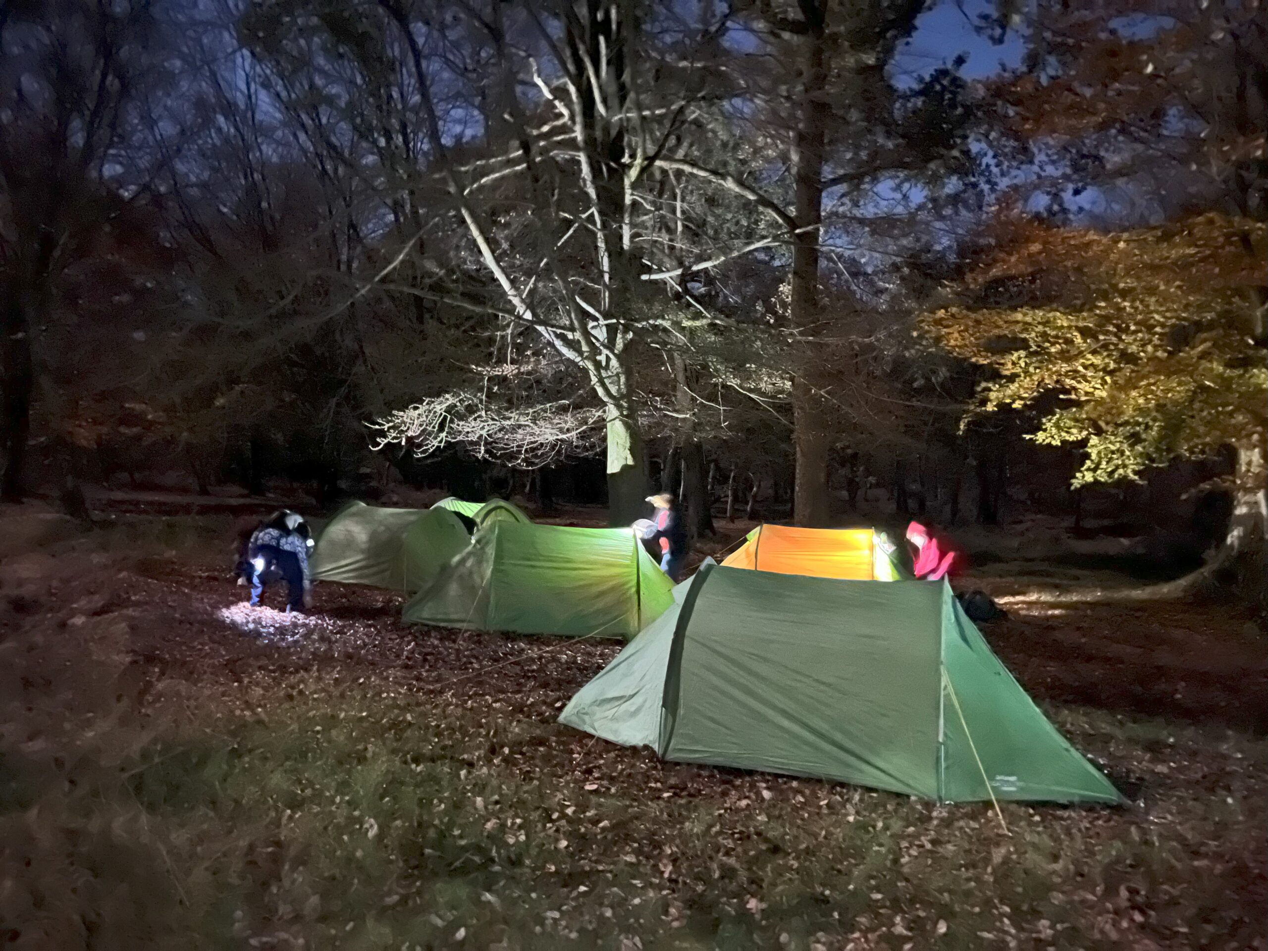 Join Scouts - 7th Malden (St James)